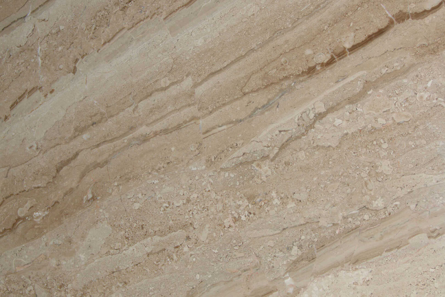 Travertine – Taj Mahal Marbles Trading LLC